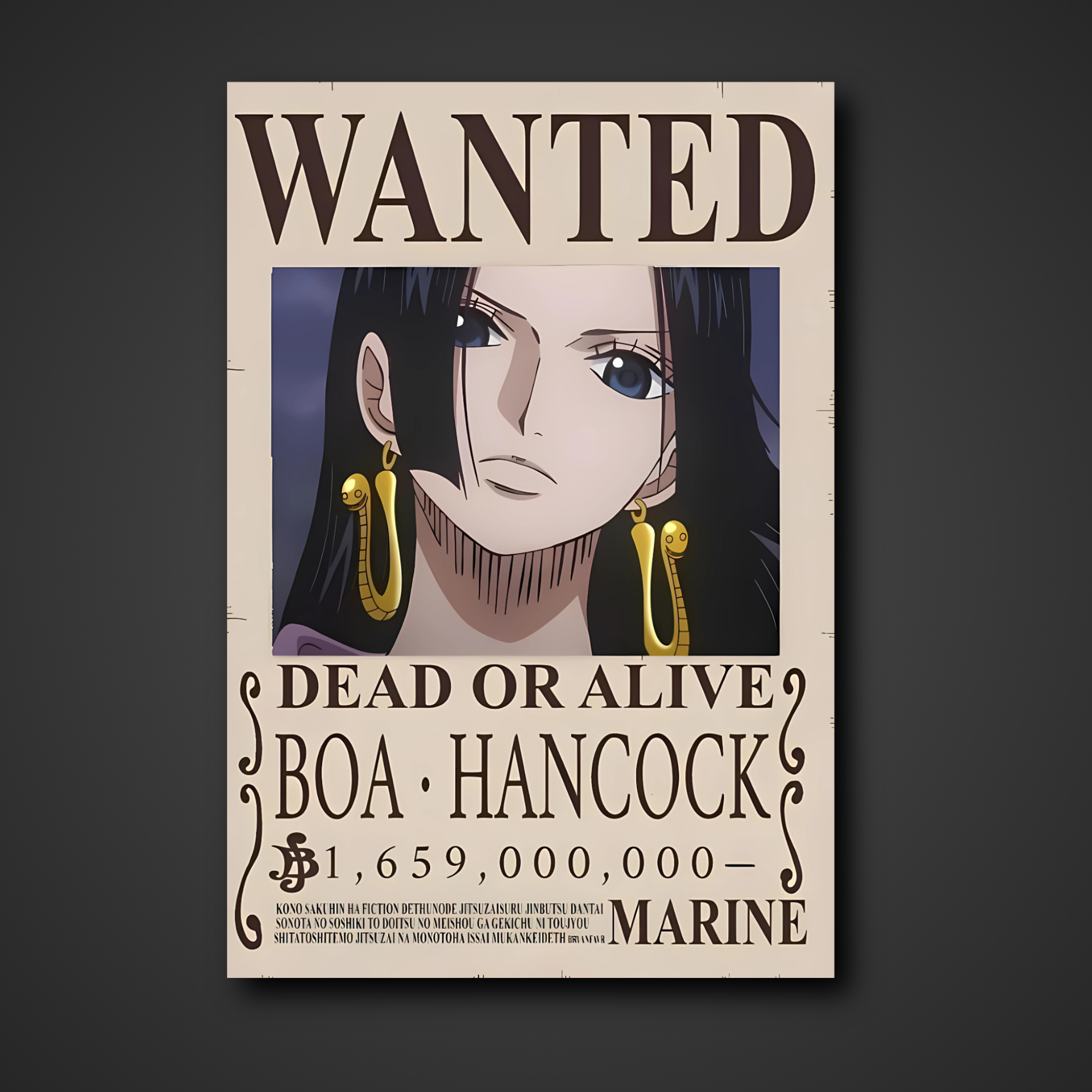 Boa Hancock 1.659 Billion Berry Bounty Poster - 12x18 & A4 Wanted Wall ...